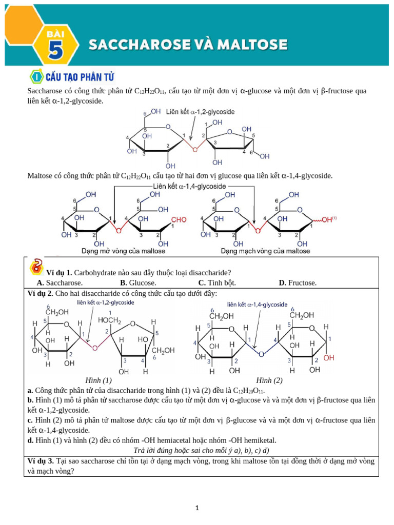 Saccharose | PDF