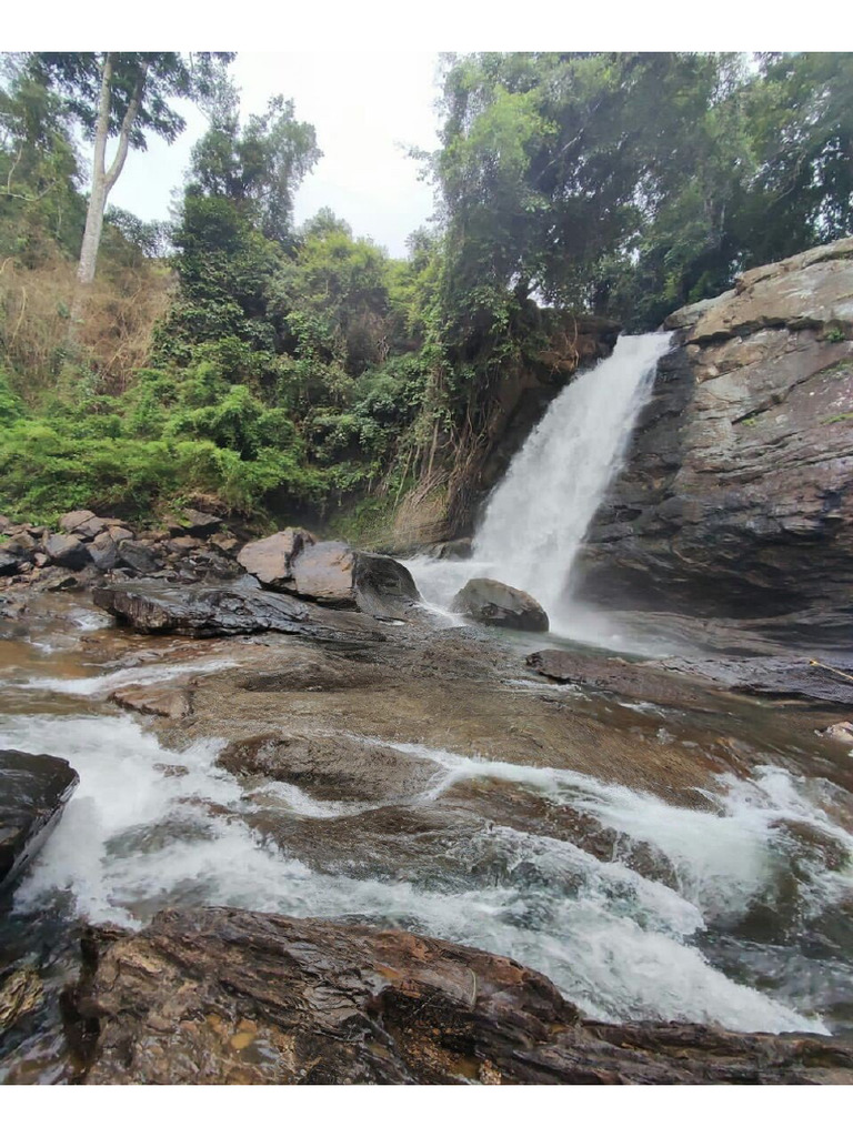 English Component - 2 | PDF