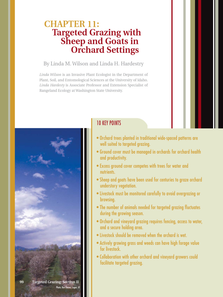 Chapter 11 Targeted Grazing | PDF | Grazing | Sheep