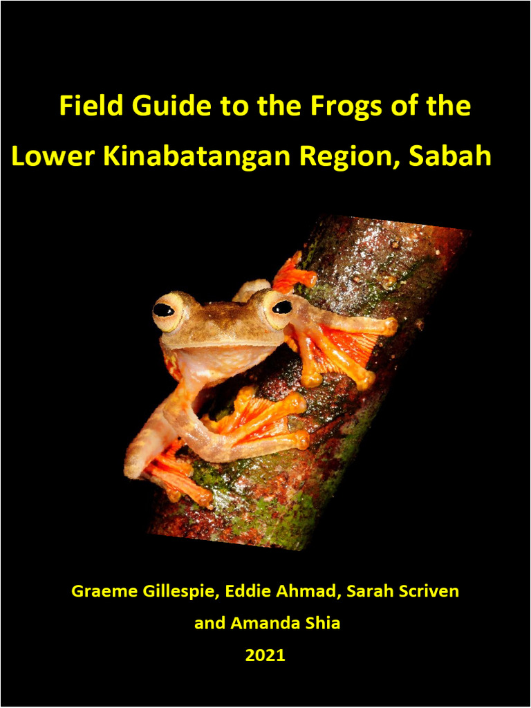 Guide To Frogs of The Lower Kinabatangan 2021 FINAL | PDF | Frog | Species