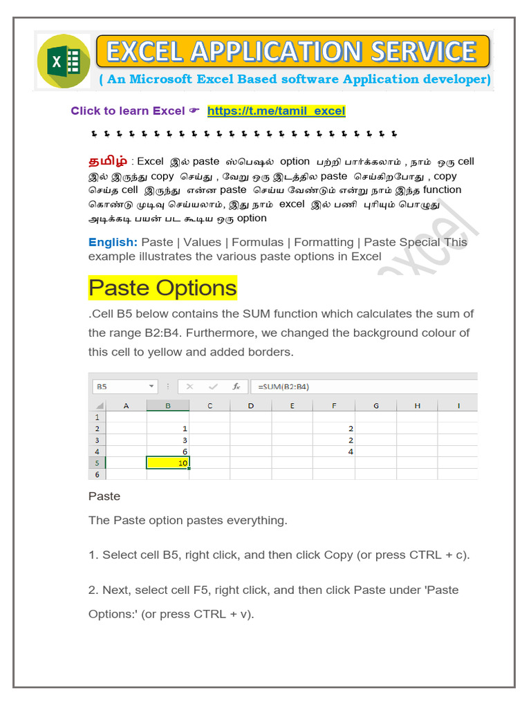 Excel Paste Special Options Explained Pdf Microsoft Excel Computing 4741