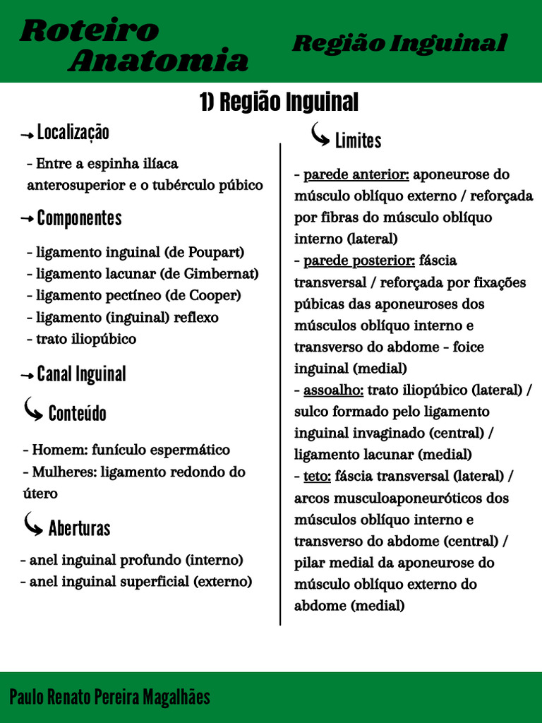 Roteiro Região Inguinal | PDF | Anatomia