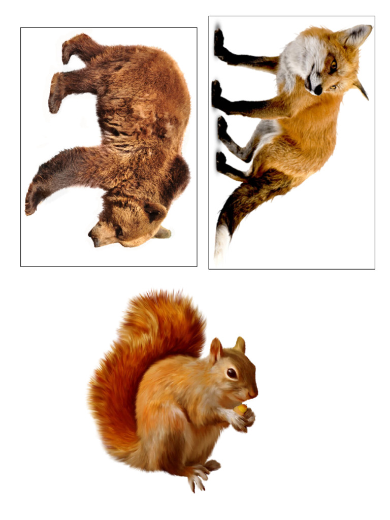 1_jetoane_animale | PDF