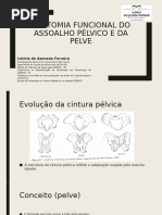 Tipos de Pelve e Suas Características | PDF