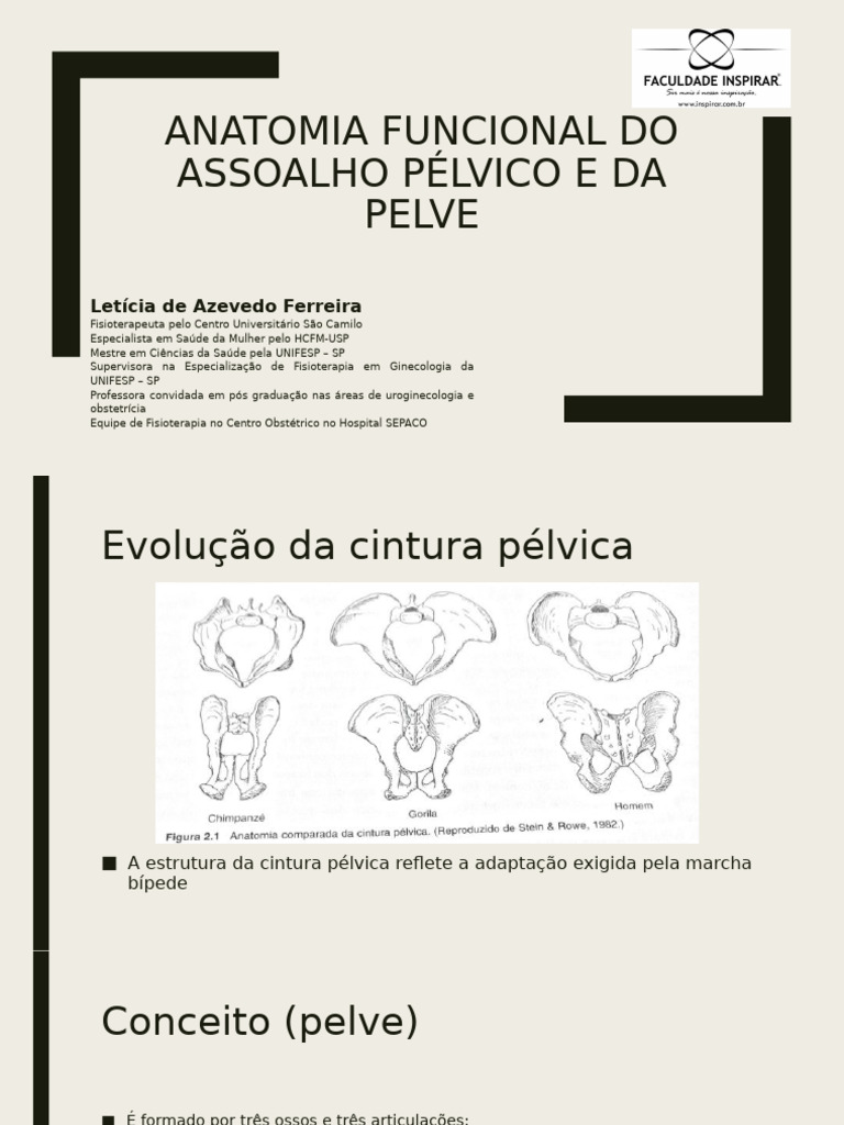 Anatomia Funcional Do Assoalho Pélvico e Da Pelve-1 | PDF | Pélvis | Sistema Locomotor
