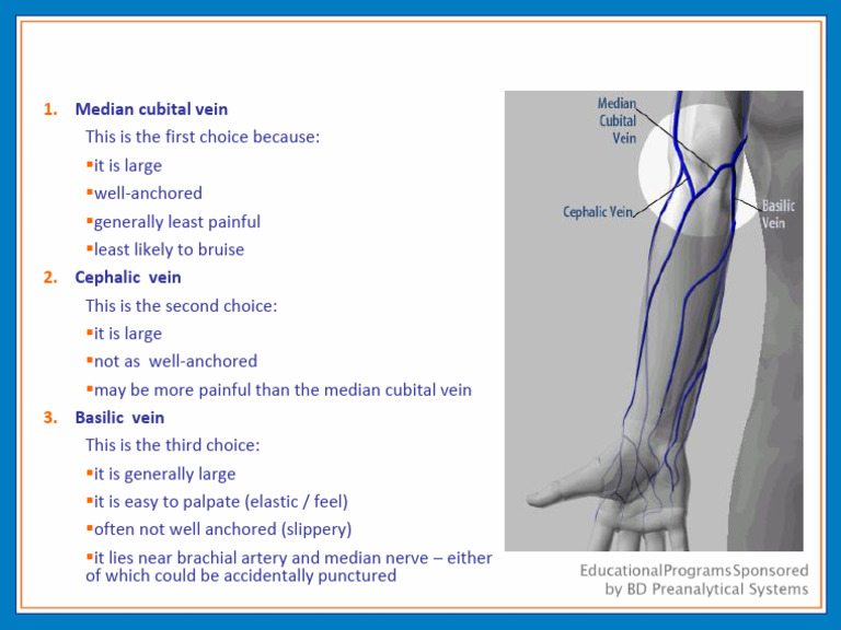 Venipuncture Vein Selection Guide | PDF