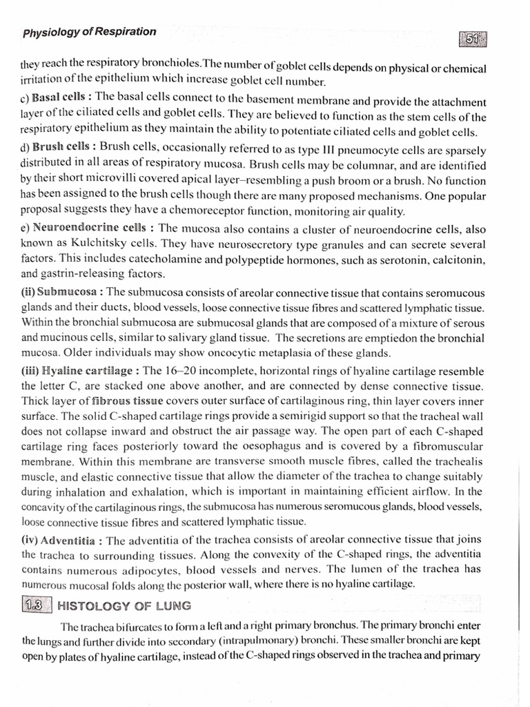 Note on Basel cell | PDF