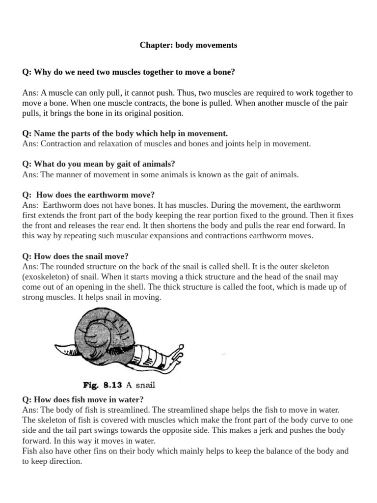 Class 6 Body Movements Q&A Guide | PDF | Skeleton | Muscle Contraction