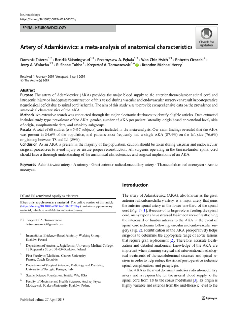 Artery of Adamkiewicz A Meta-Analysis of Anatomica | PDF ...