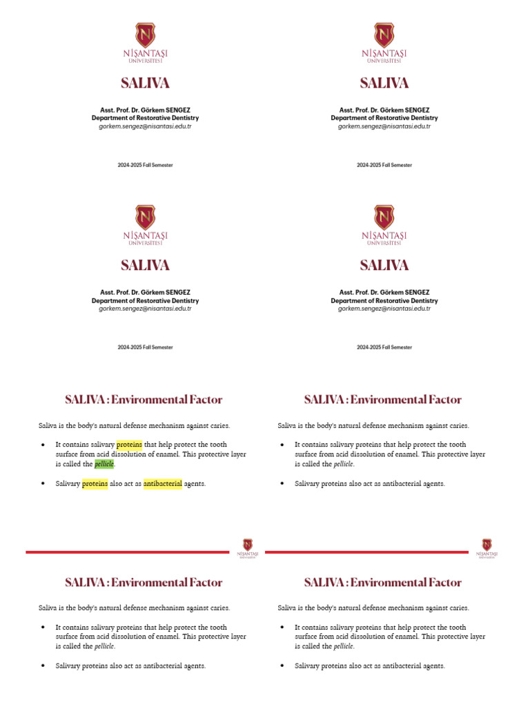 Saliva Students | PDF | Saliva | Animal Anatomy