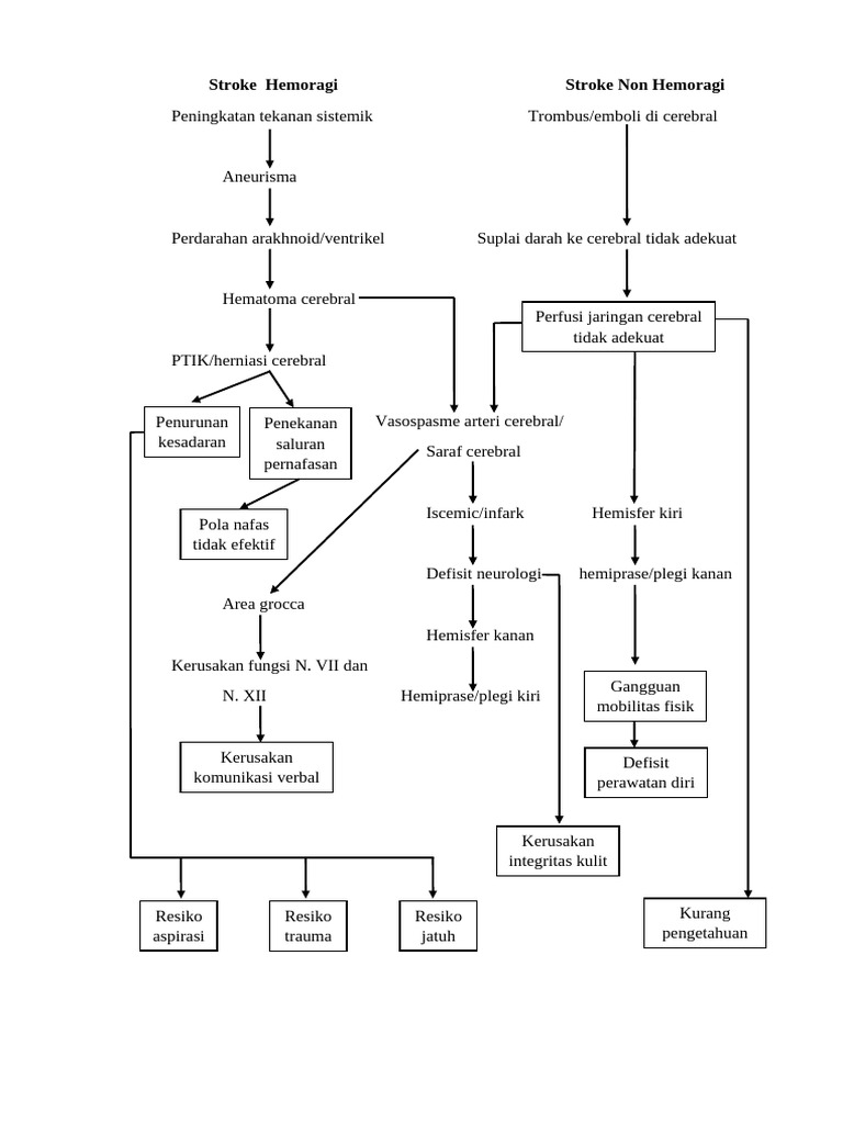 Pathway Stroke | PDF