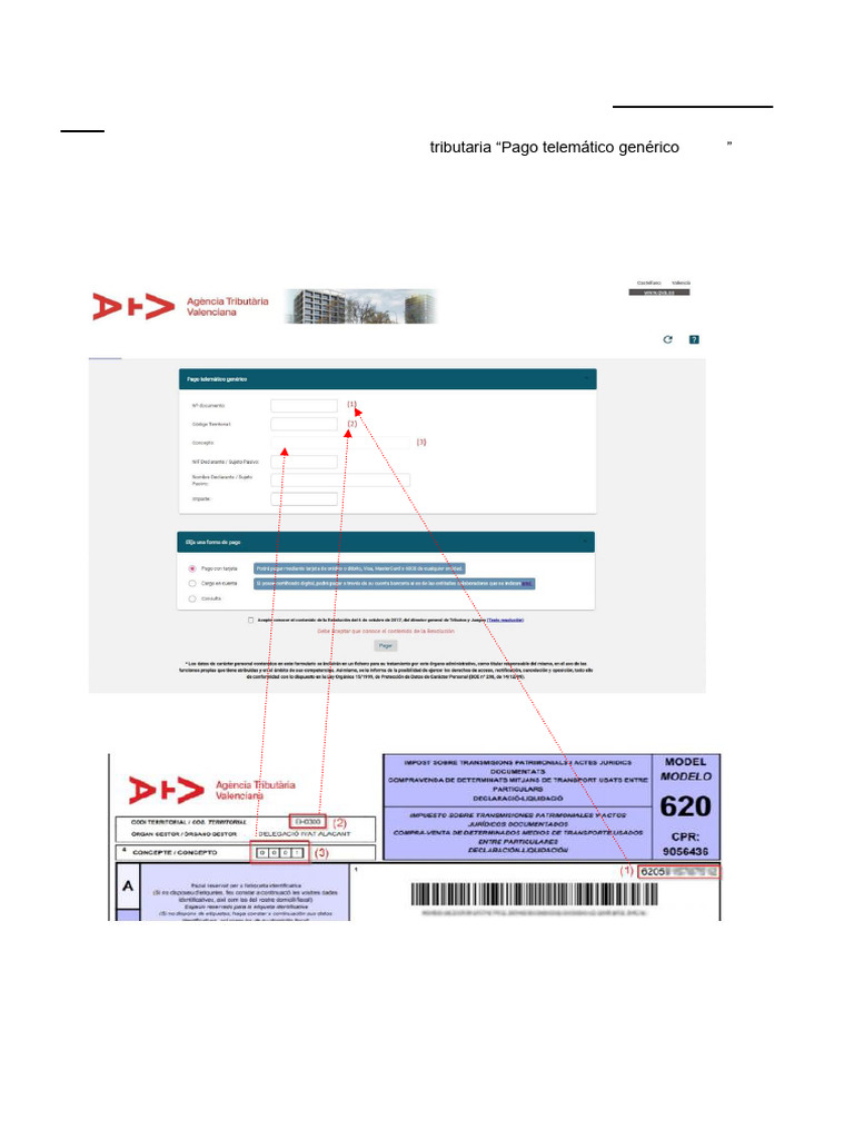 Indicación Pago TASA | PDF