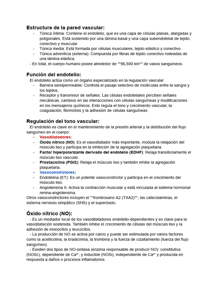 Endotelio y Sus Funciones | PDF | Inflamación | Endotelio