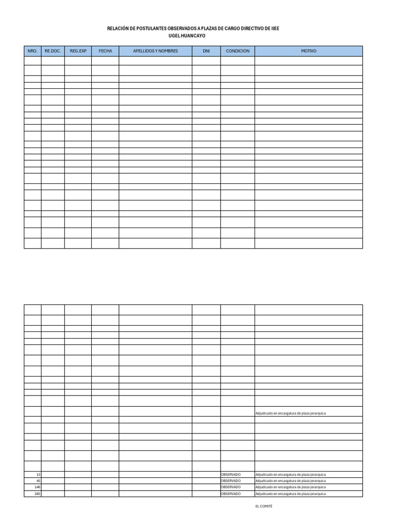 OBSERVADOS-ENCARGATURA-CARGO-DIRECTIVO-2024 | PDF