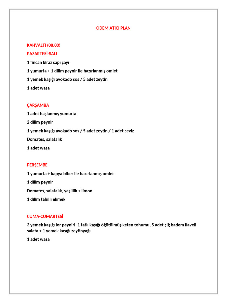 Ödem Atici Plan | PDF