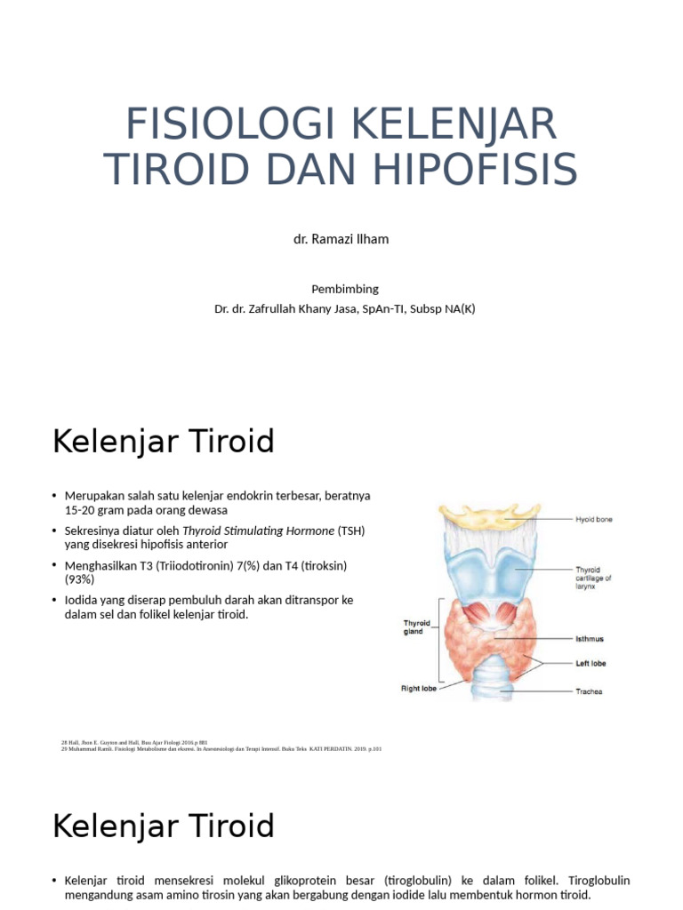 Fisiologi Kelenjar Tiroid Dan Hipofisis New | PDF
