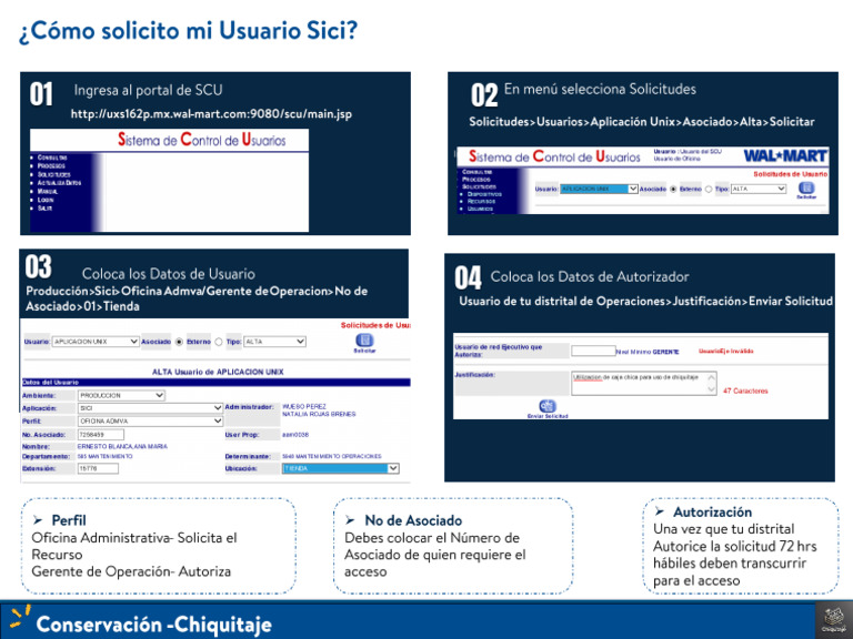 Usuario Sici | PDF