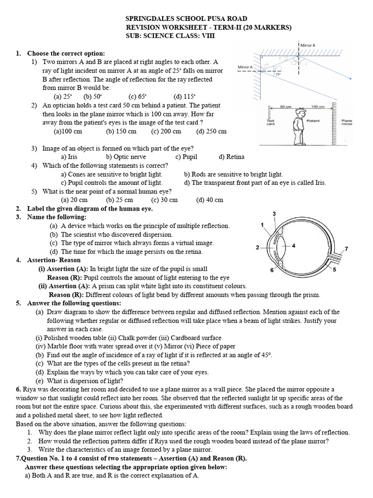 Science Revision Worksheet-Std8 2024 - Term II - 20 Markers | PDF | Eye ...