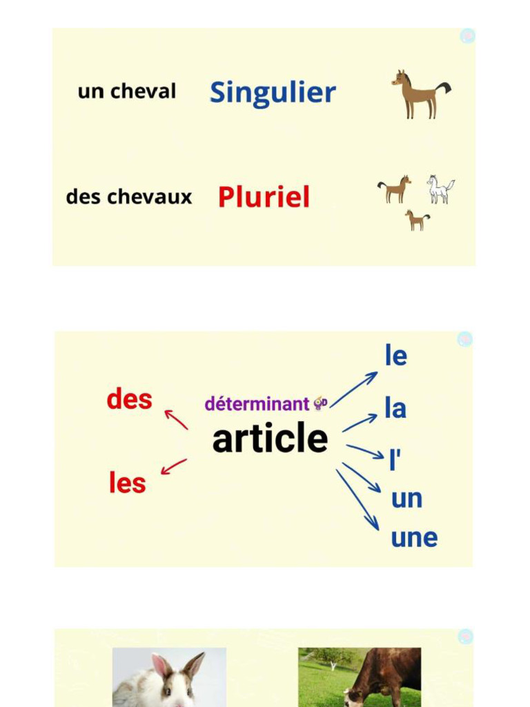 Le pluriel des noms | PDF