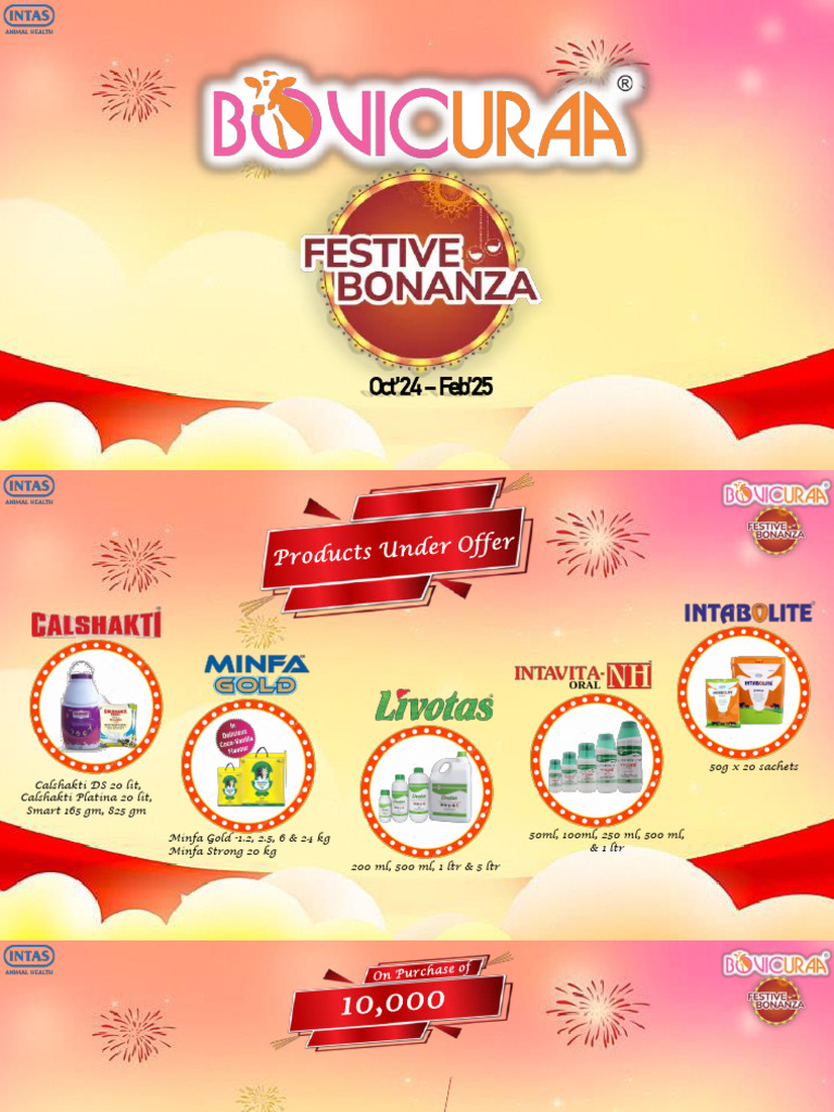 Final Retail Bonanza H2 - FY 24-25 | PDF