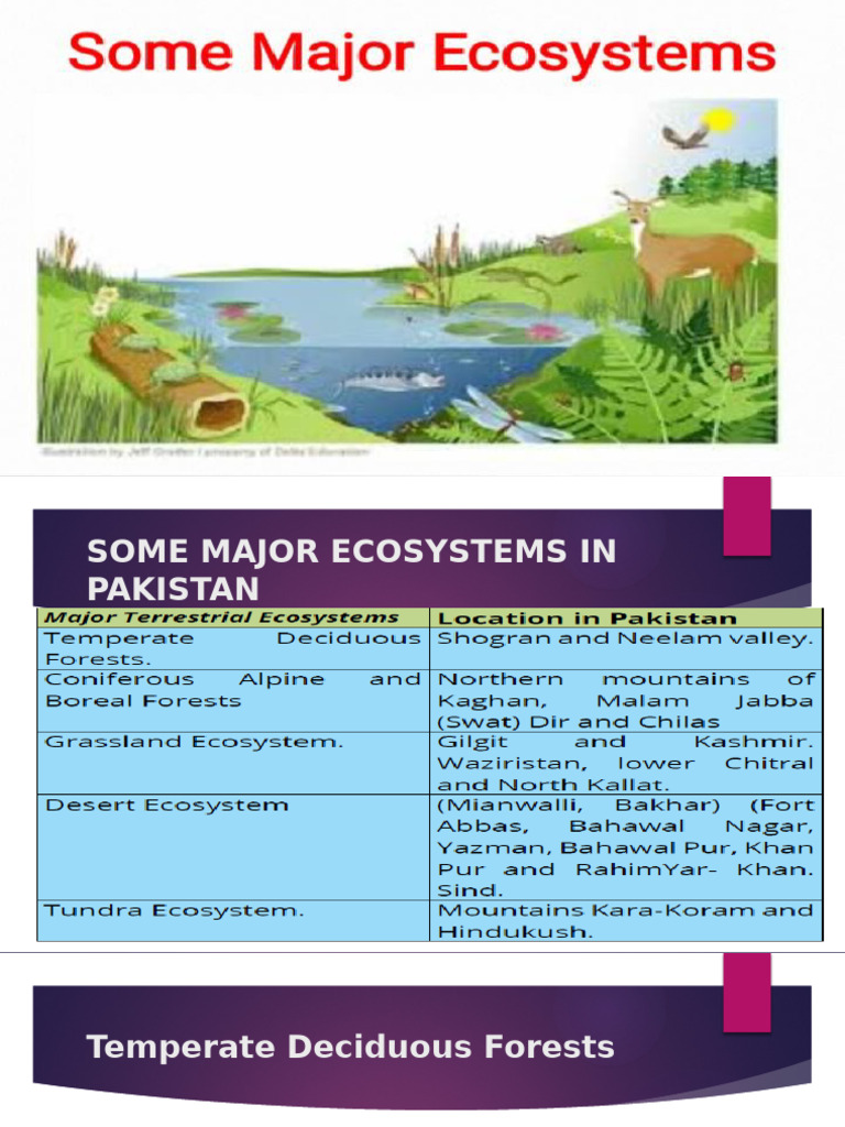 Major Ecosystems: Temperate Forests in Pakistan | PDF