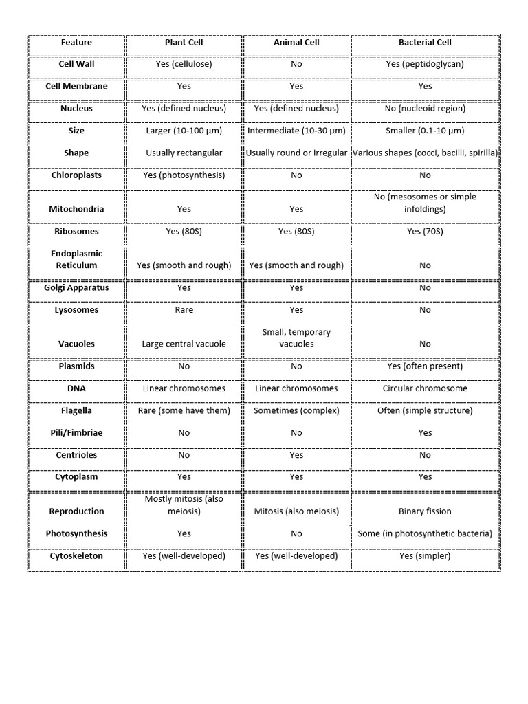 Key Differences Plant Animal Bact Cell | PDF | Cell (Biology) | Bacteria