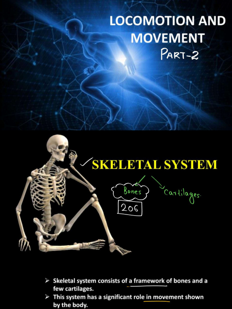 Locomotion and Movement Agni Batch Live Notes | PDF