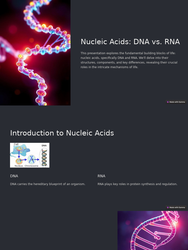 Nucleic-Acids-DNA-vs-RNA | PDF | Nucleic Acids | Base Pair