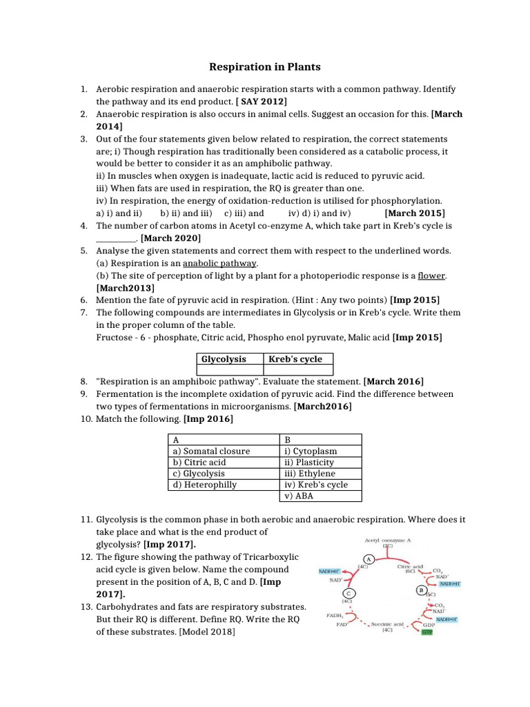 scert bio pyq Respiration in Plant1 | PDF | Cellular Respiration | Glycolysis