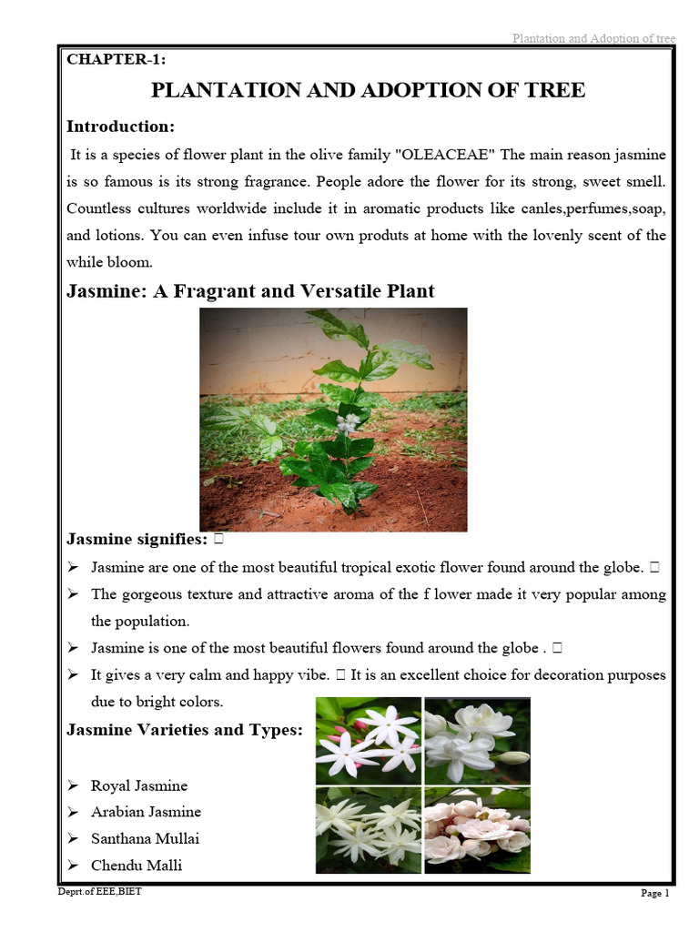 Plantation and Adoption of Tree: Jasmine: A Fragrant and Versatile ...