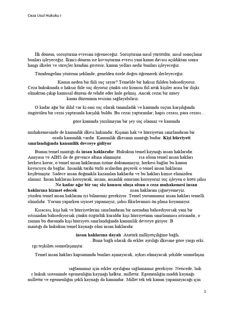 Ceza Usul Vize+Final | PDF