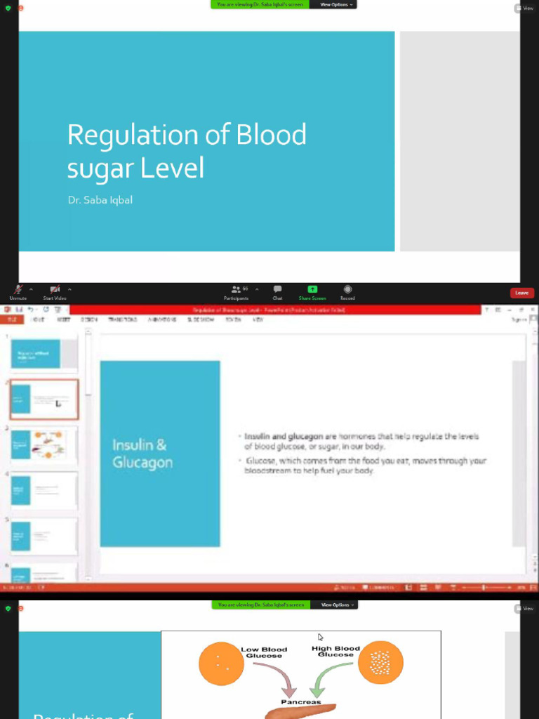 Regulation of Blood Sugar Level | PDF