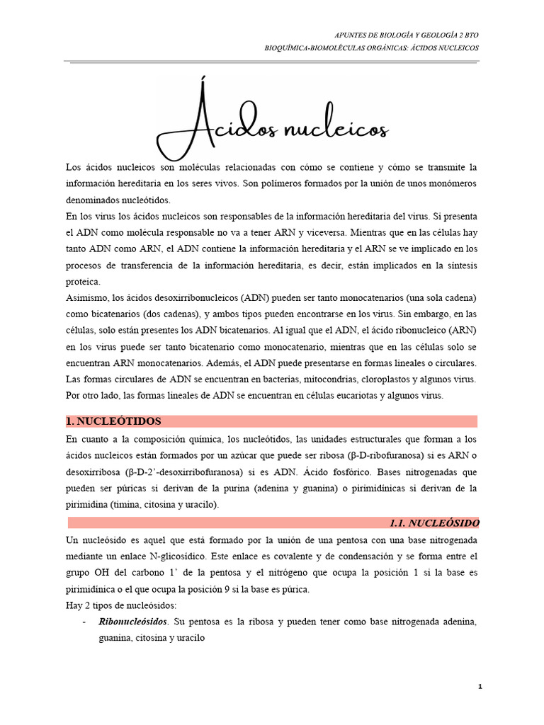 Ácidos Nucleicos-bioquímica III.docx - Documentos de Google | PDF | Rna | Adn