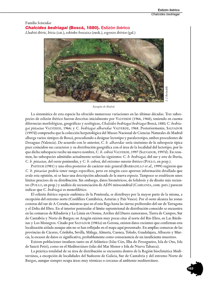 Reptil 8 tcm30-98913 | PDF | Geografía Física | Ciencias de la Tierra