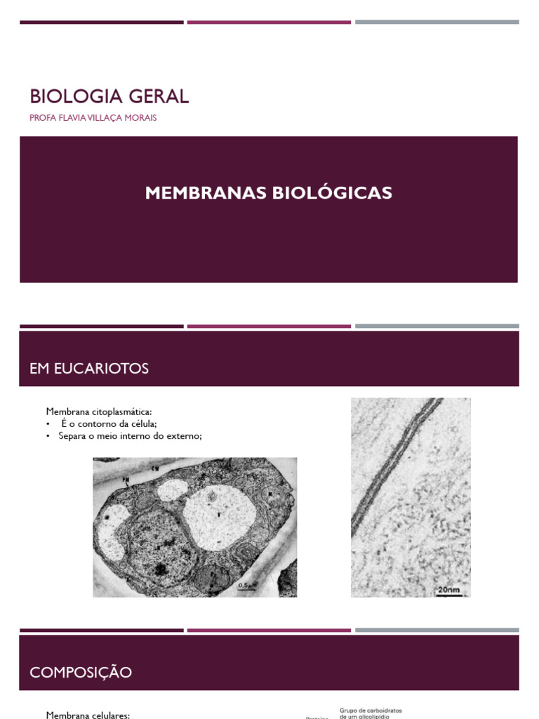 Membranas Biológicas | PDF | Membrana celular | Membrana biológica