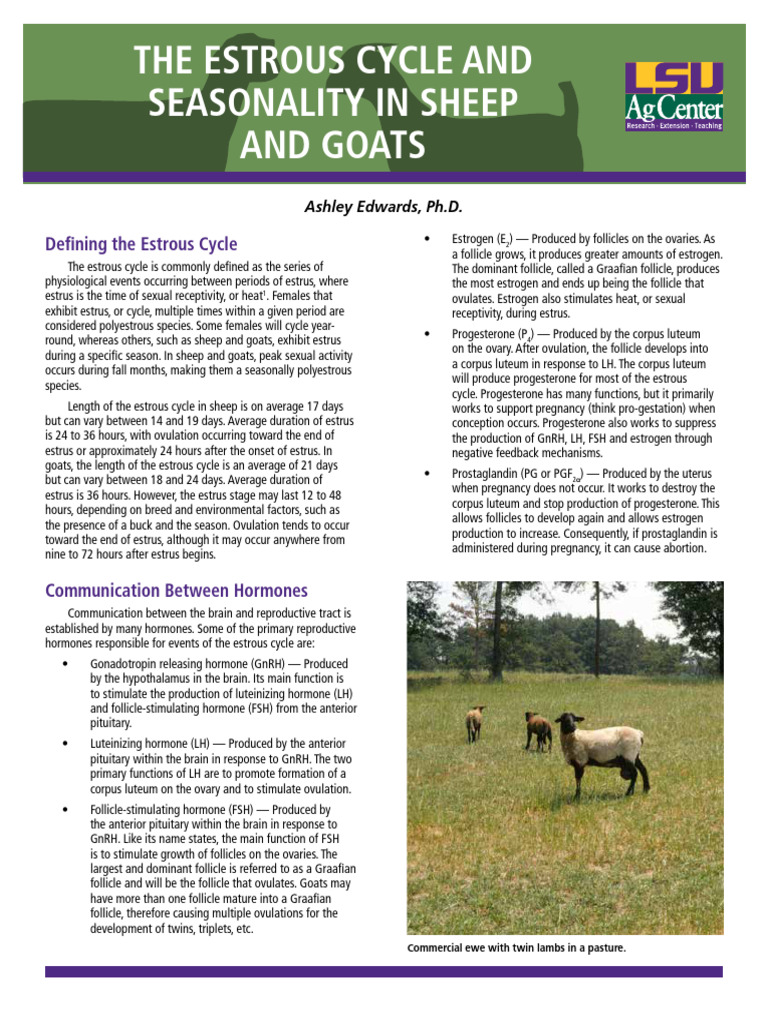 3750 Estrous Cycle and Seasonality in Sheep and Goatspdf | PDF ...