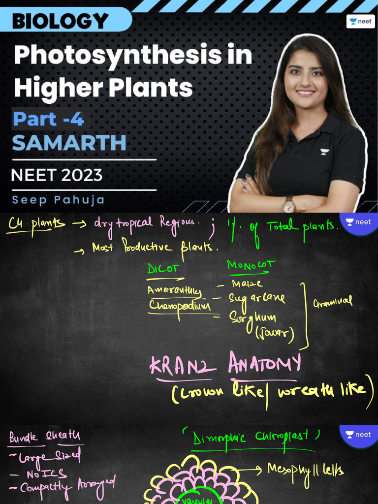 Photosynthesis L4 | PDF