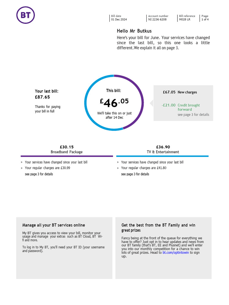 BT Gas Bill Summary for Mr. Butkus | PDF | Internet Access | Service Industries