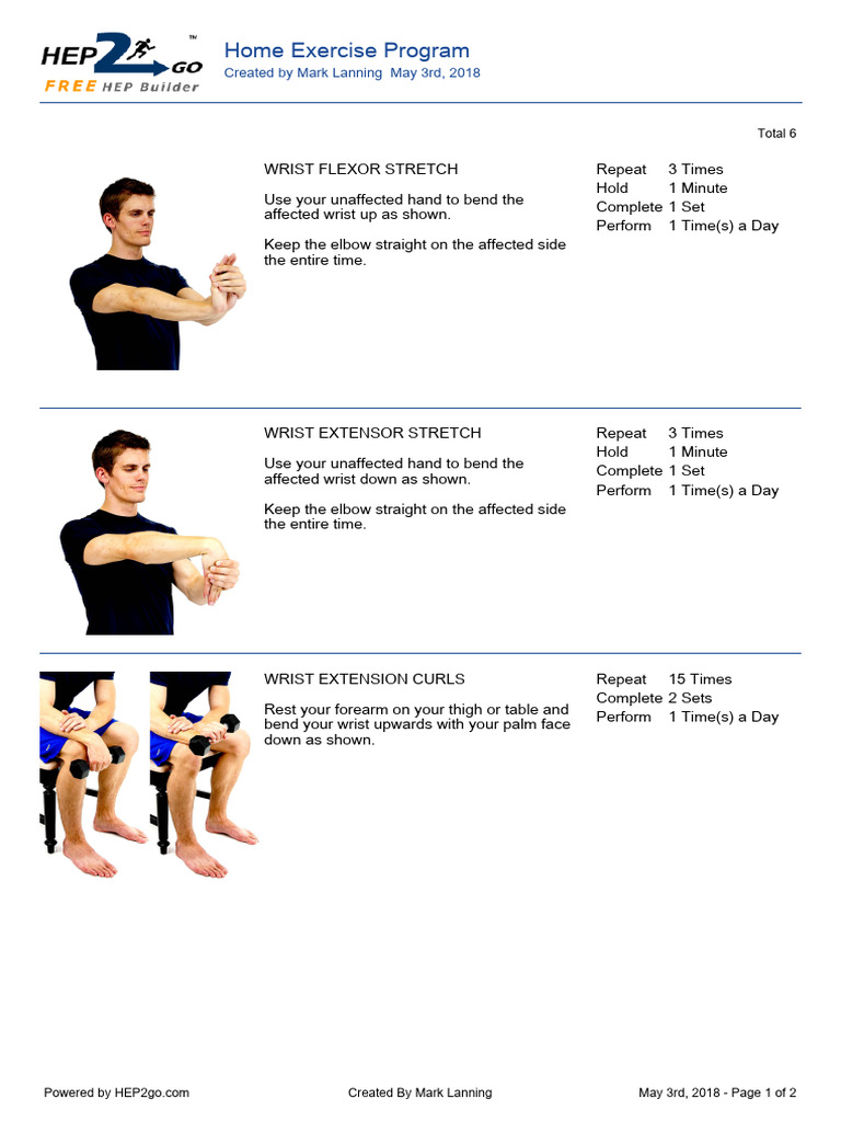 wrist guide1 | PDF | Anatomical Terms Of Motion | Hand