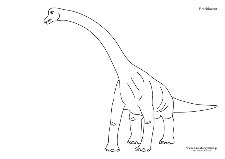 Brachiozaur Kolorowanka | PDF