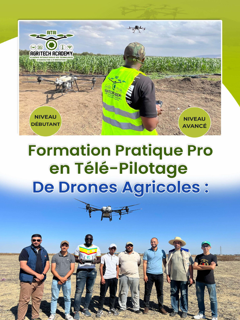 Formation Drones | PDF