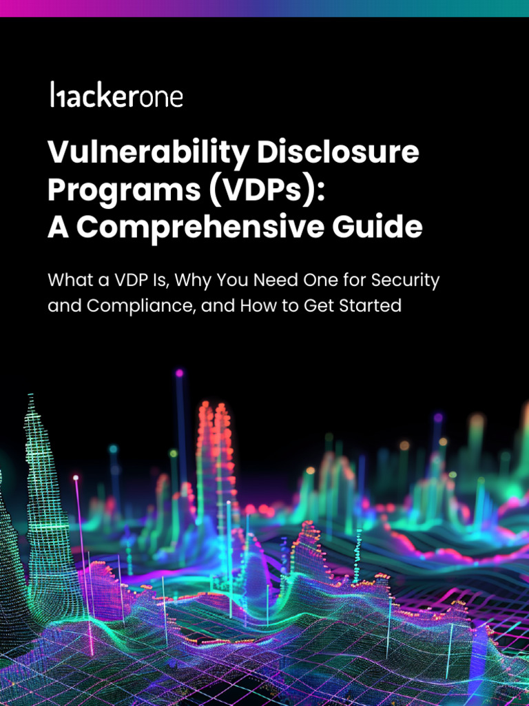 Comprehensive VDP Guide | PDF | Security | Computer Security