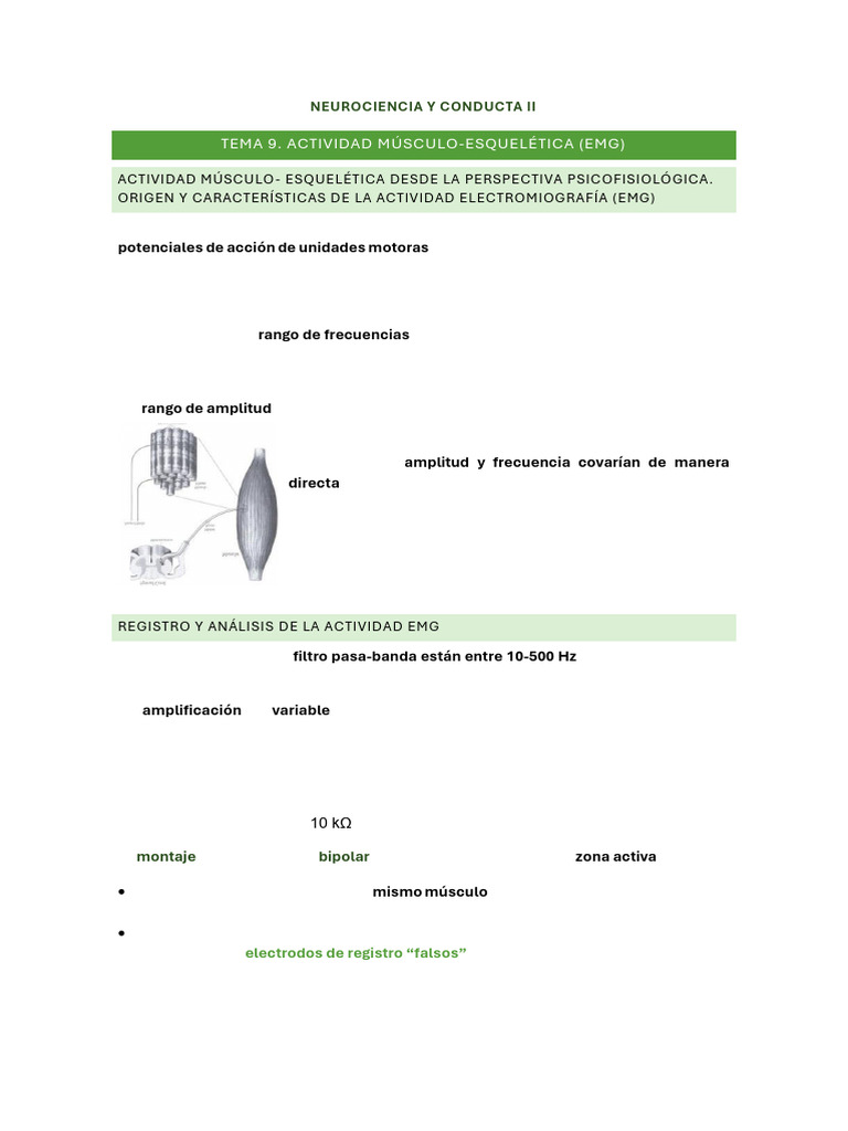 Wuolah Free Tema 9 (3) Gulag Free | PDF | Electromiografia | Fisiología