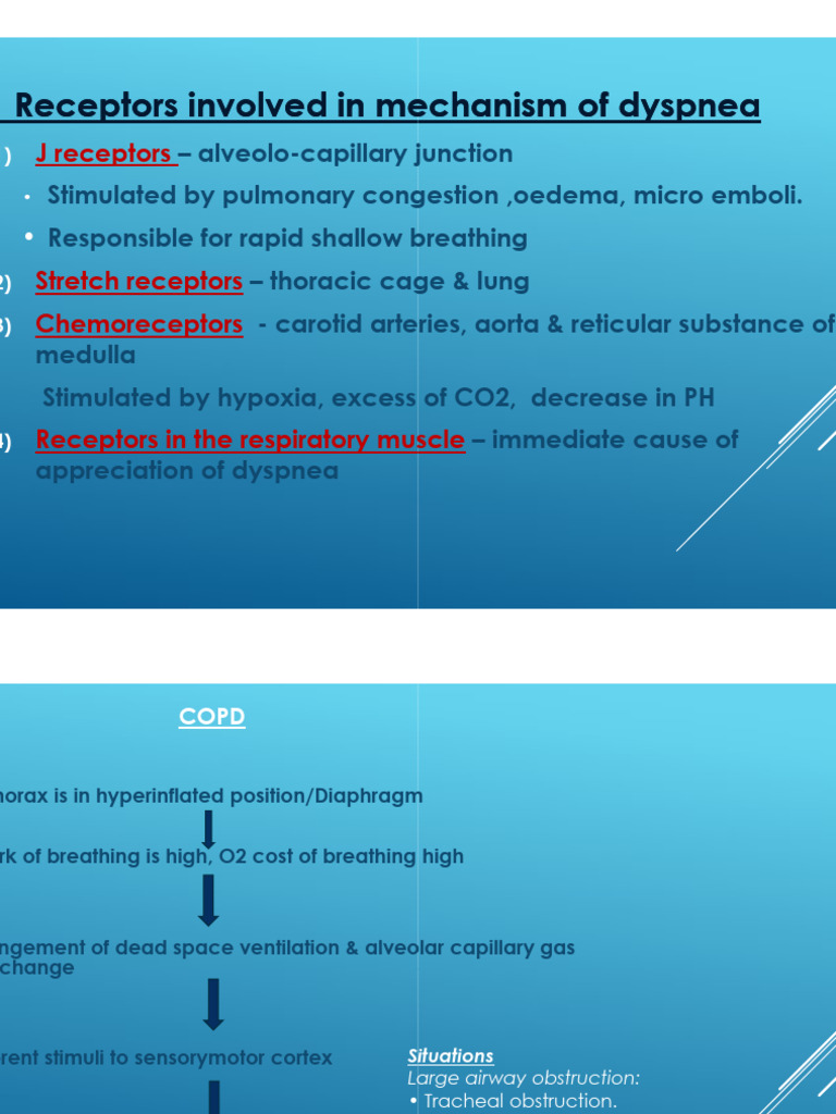12. Mechanisms of Dyspnea | PDF