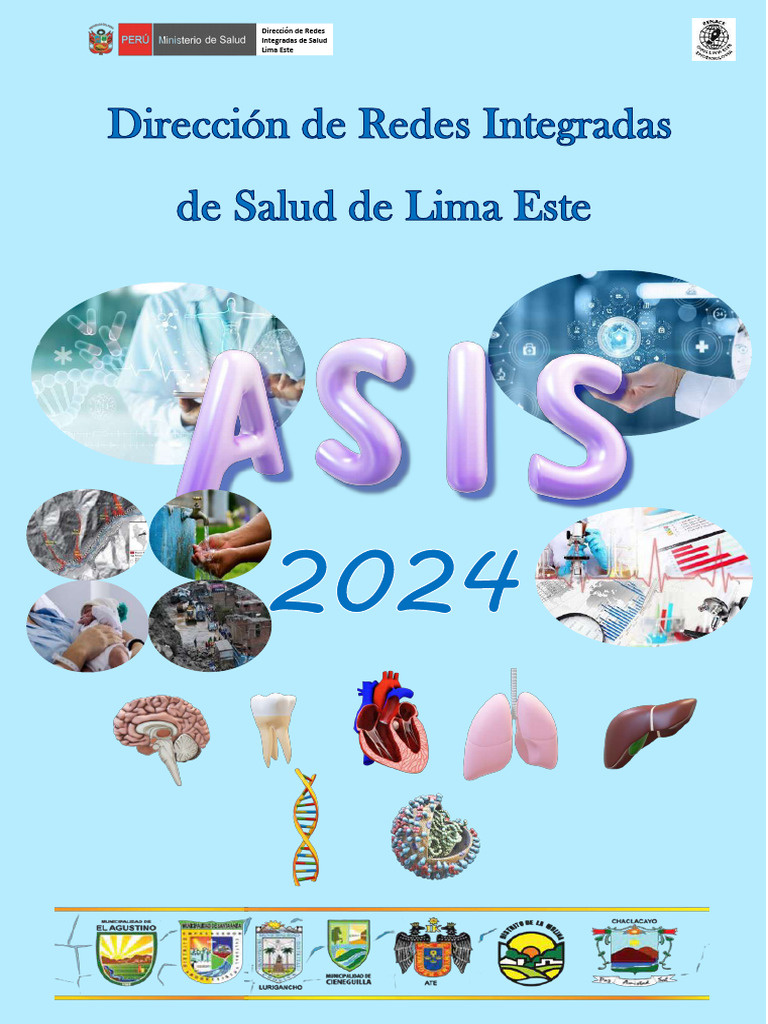 Asis Dirisle 2024 | PDF | Lima | Hospital