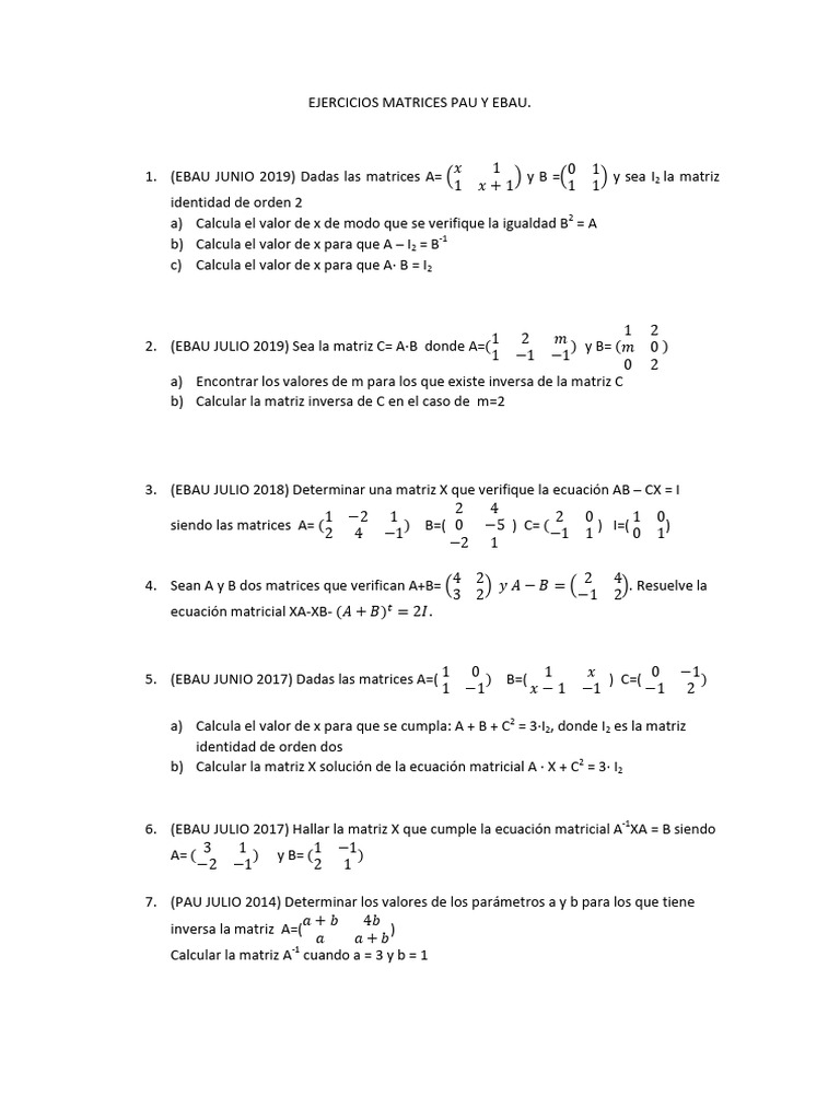 Ejercicios Matrices Pau y Ebau | PDF | Matriz (Matemáticas) | Ecuaciones