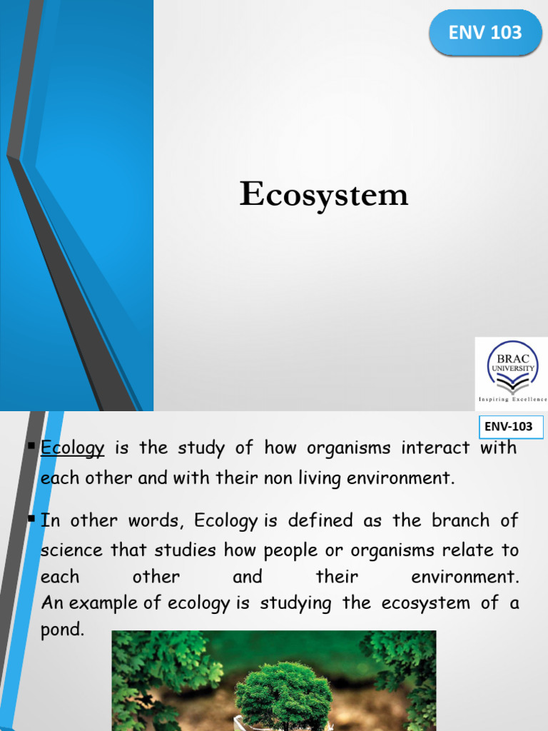 L7. Ecosystem | PDF | Ecosystem | Food Web