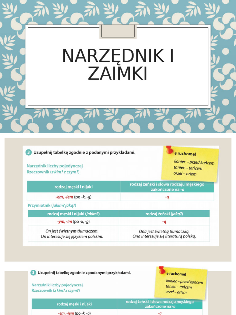 N. I Zaimki | PDF