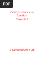 Cell Organelles Detailed Notes | PDF | Endoplasmic Reticulum | Cell ...