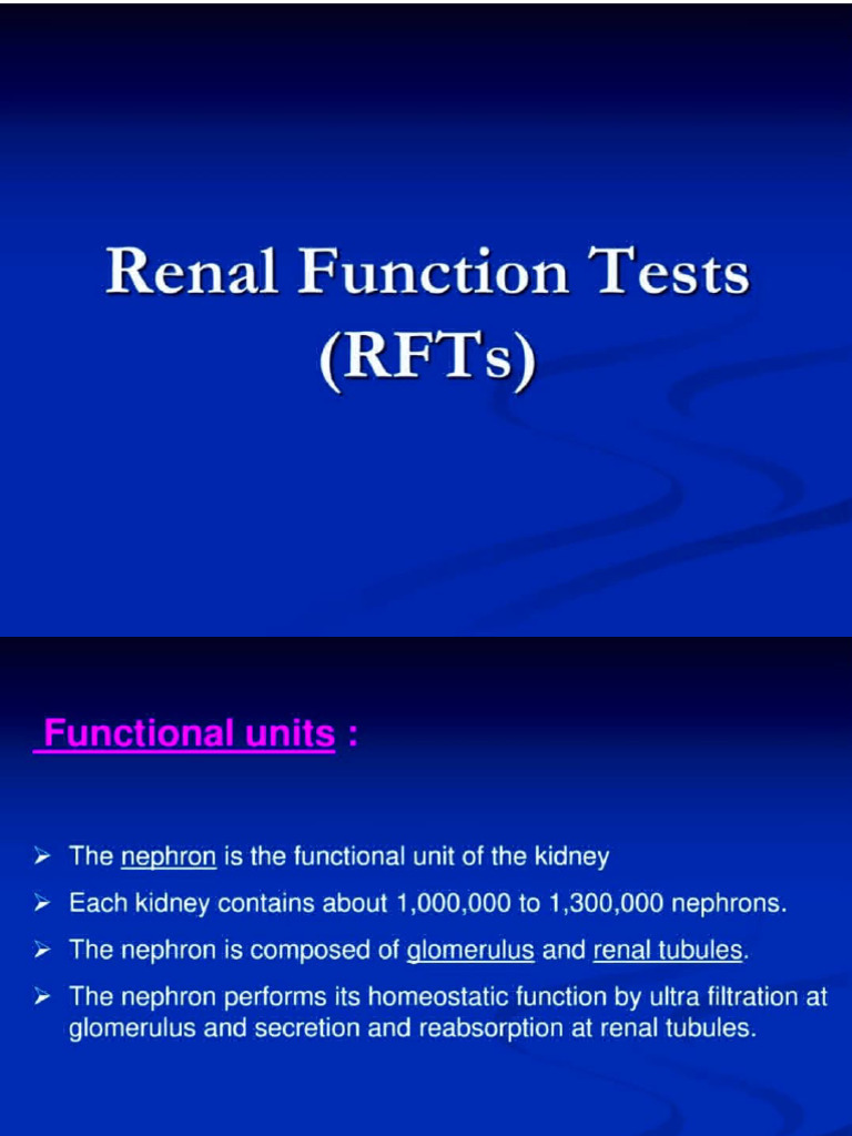 Renal Function Test | PDF